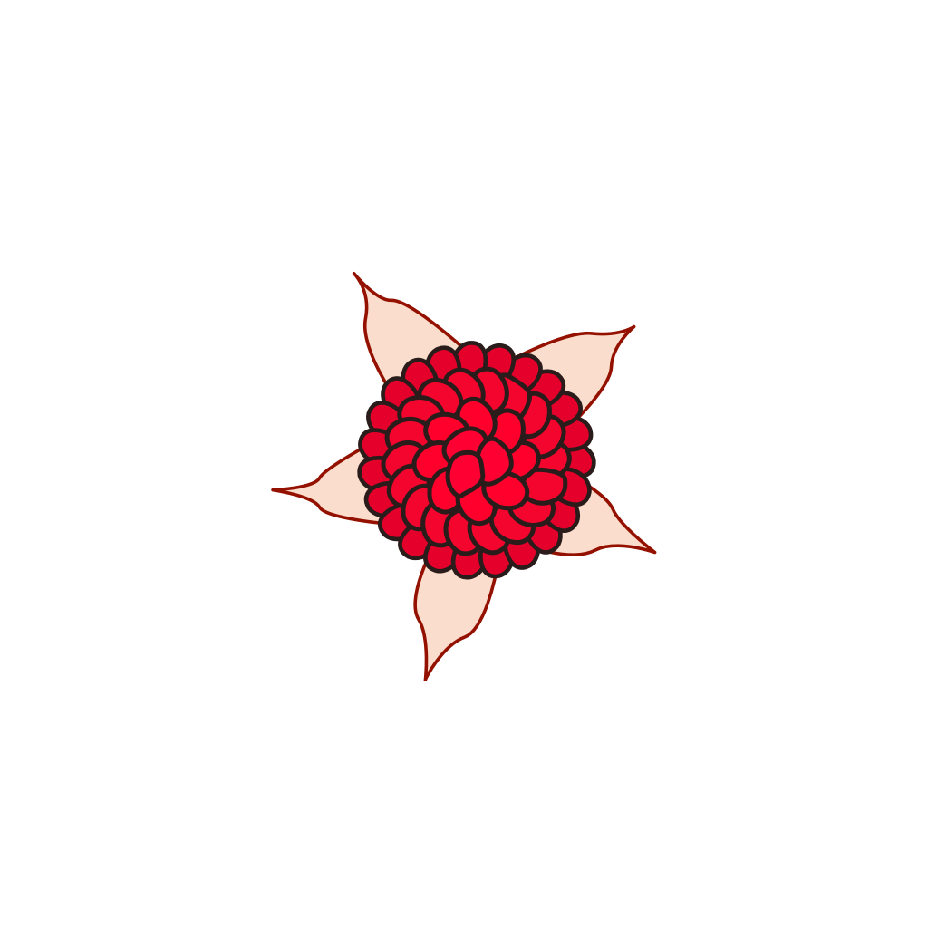 Home | Alaska Thimbleberry Creations